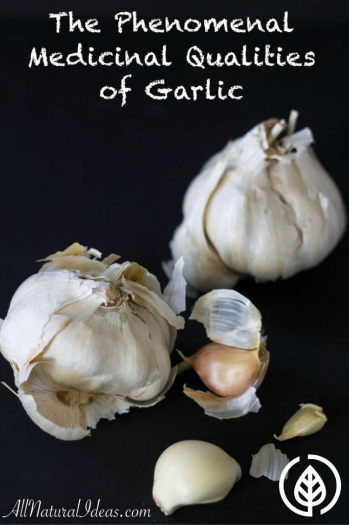 Health Benefits of Garlic | All Natural Ideas