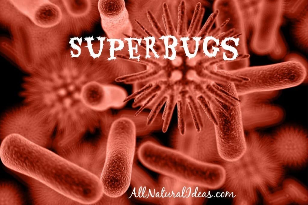 6 Ways to Prevent Superbug Infections | All Natural Ideas