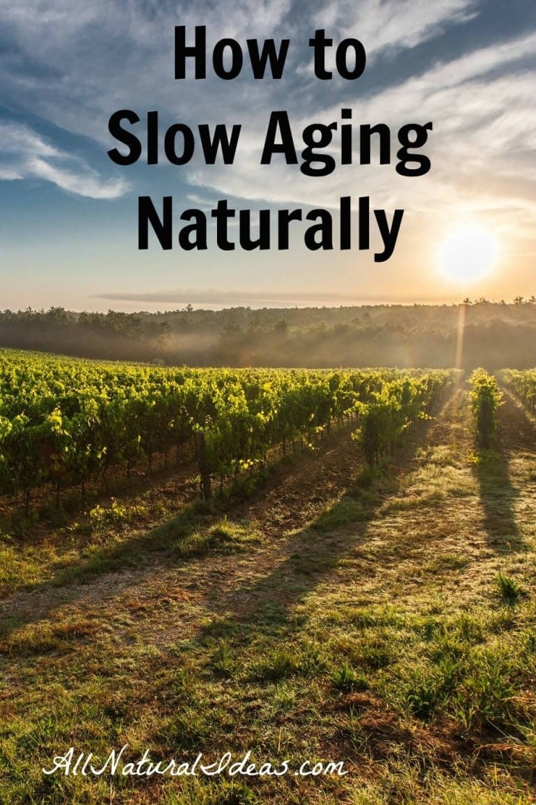 How to Slow Aging Naturally with these Tips | All Natural Ideas