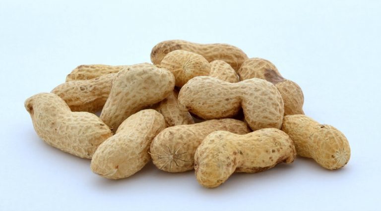 Organic Peanuts: Good or Bad for You? | All Natural Ideas