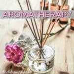 Aromatherapy Science: How do essential oils work? | All Natural Ideas
