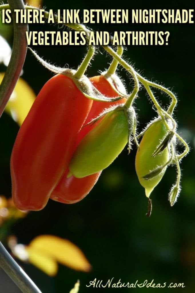 Nightshade Vegetables and Arthritis: Is there a Link? | All Natural Ideas