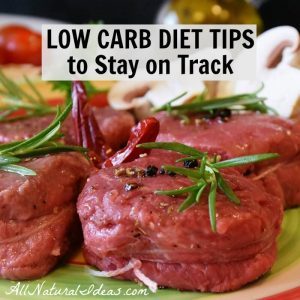 Stillman Diet Results: Fast Weight Loss But Healthy? | All Natural Ideas