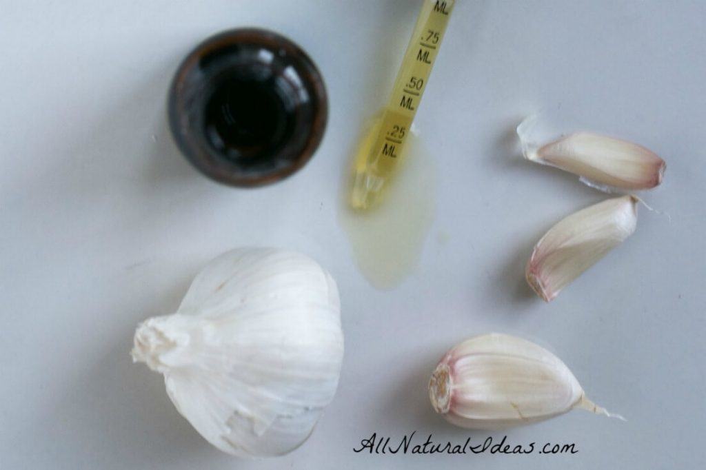 Garlic Oil Benefits - More than Just for Ear Infections | All Natural Ideas