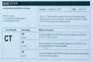 Is the MTHFR Gene Mutation Test Something You Need? | All Natural Ideas