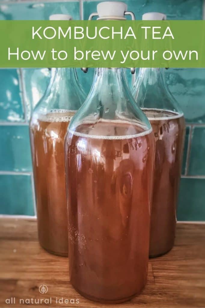 Kombucha Recipe to Brew Your own Tea for Health Benefits | All Natural Ideas
