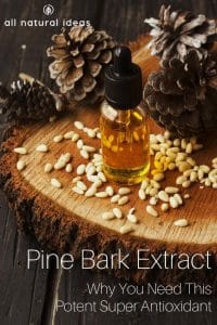 Pine Bark Extract Benefits as a Super Antioxidant | All Natural Ideas