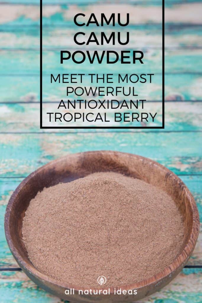 Camu Camu Powder: A Powerful Antioxidant Berry | All Natural Ideas