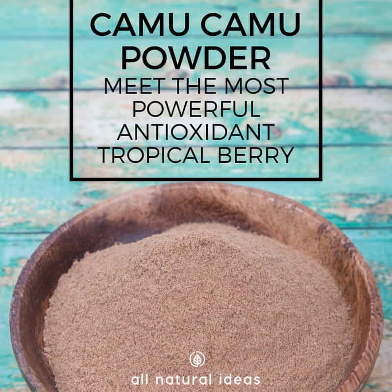 Camu Camu Powder: A Powerful Antioxidant Berry | All Natural Ideas