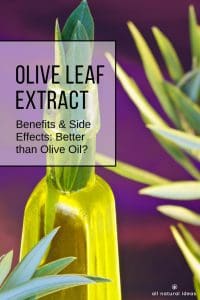 Amazing olive leaf extract benefits and side effects | All Natural Ideas