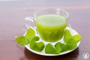 The Amazing Gotu Kola Tea Benefits You Need to Know | All Natural Ideas