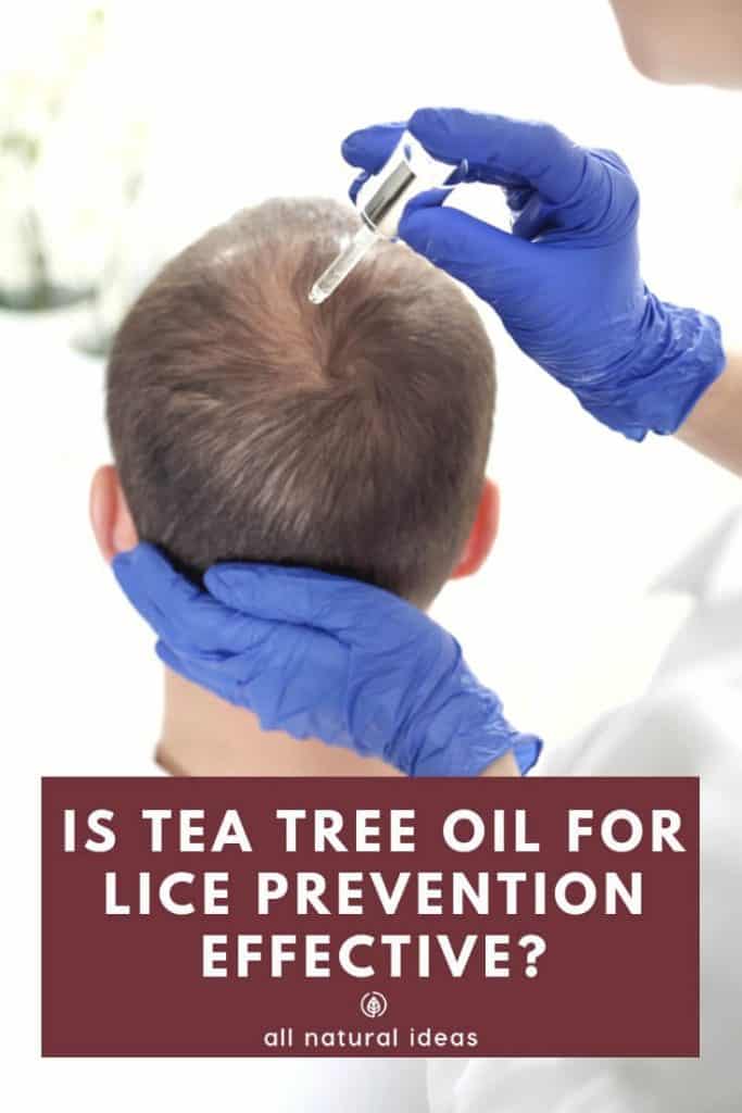 Is Tea Tree Oil for Lice Prevention Effective? | All Natural Ideas