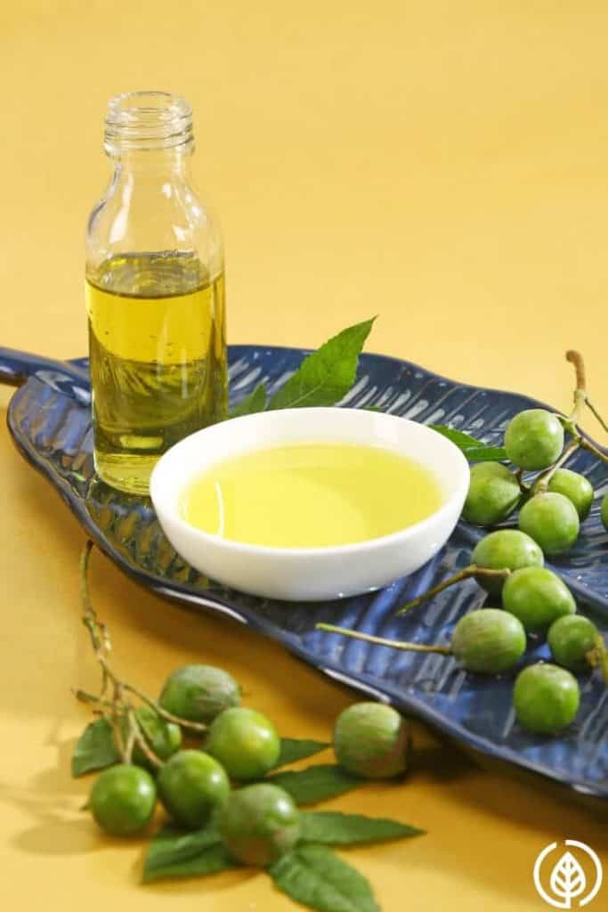 How to Use Neem Oil For Skin And Hair | All Natural Ideas